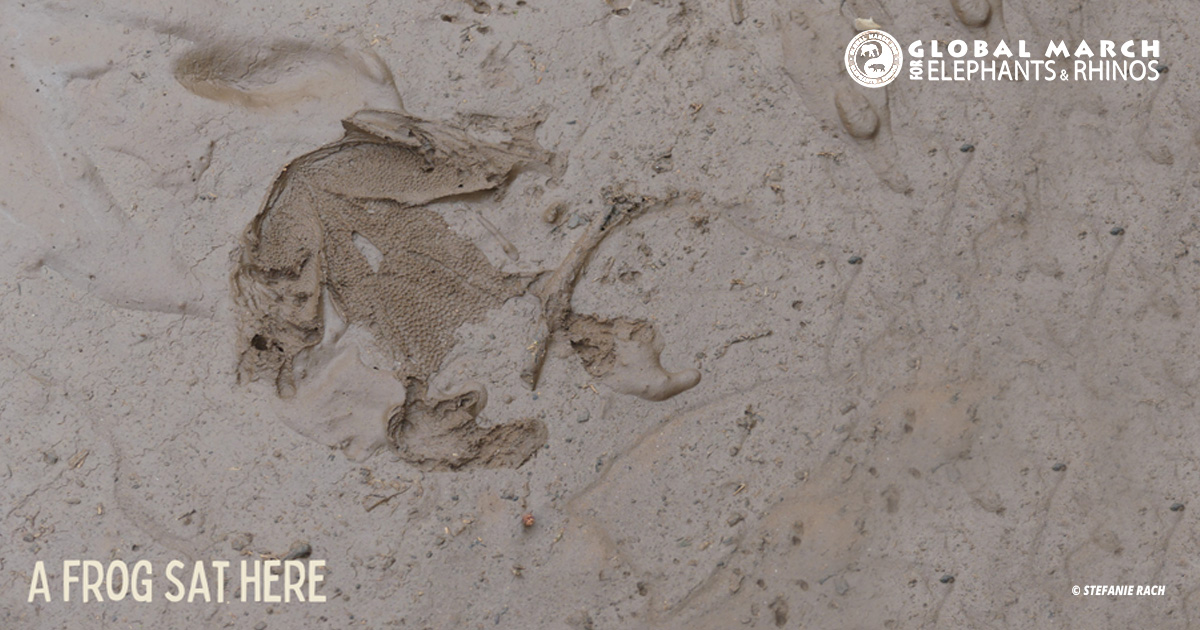 Tracking Mother Nature: Who was strolling along here? - Global March ...